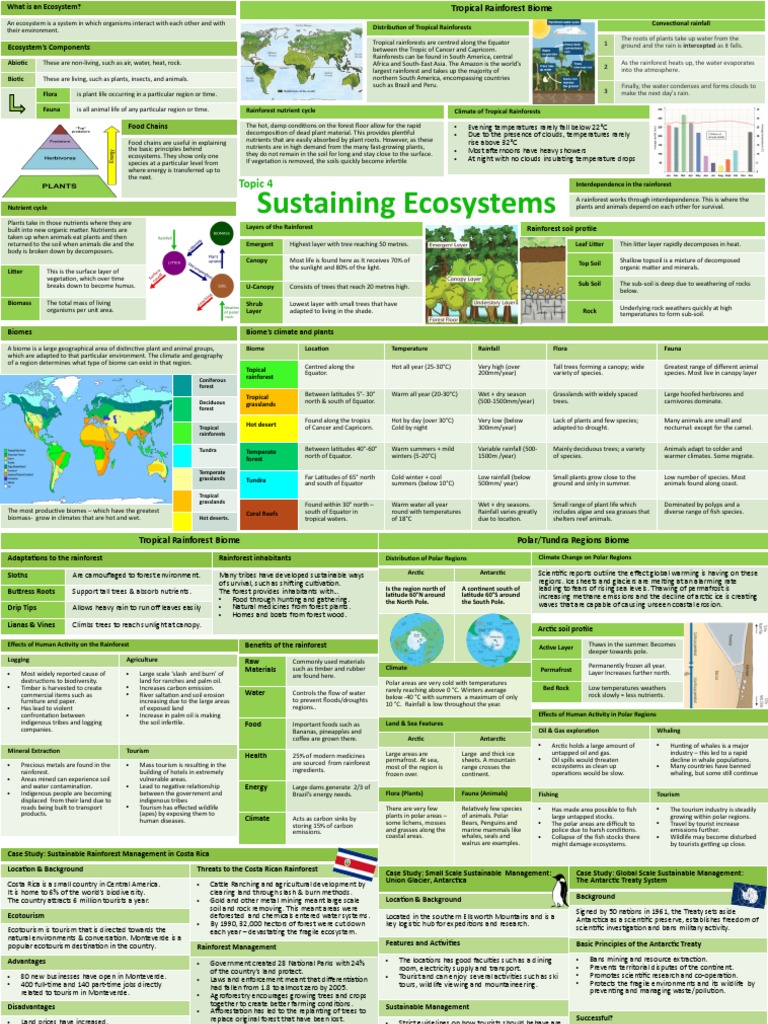 T4 Sustaining Ecosystems | PDF | Rainforest | Soil