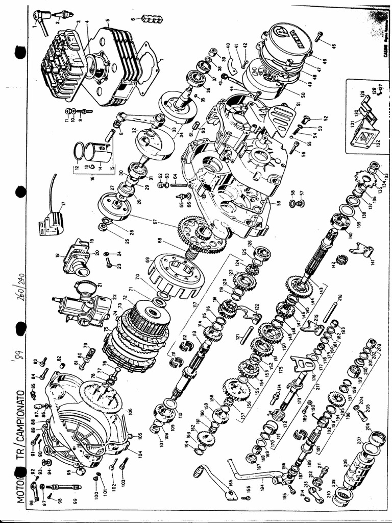 Beta - BETA TR34 Campionato 260-240 - 1989 Parts | PDF