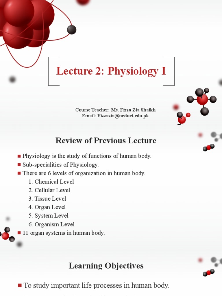Understanding Human Physiology Basics | PDF | Homeostasis | Biology