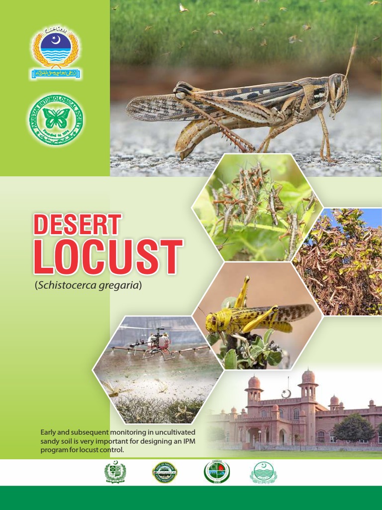 Locust Brochure (Dr. Jalal SB) | PDF