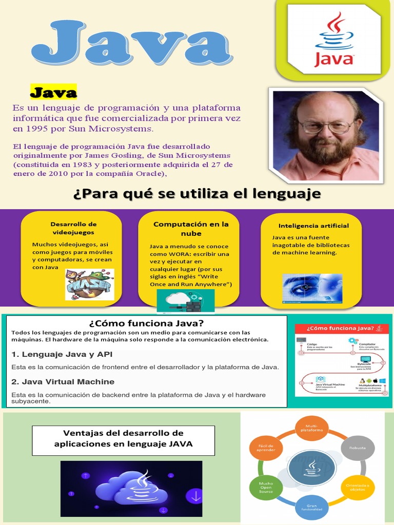 Infografia Lenguaje Java | PDF