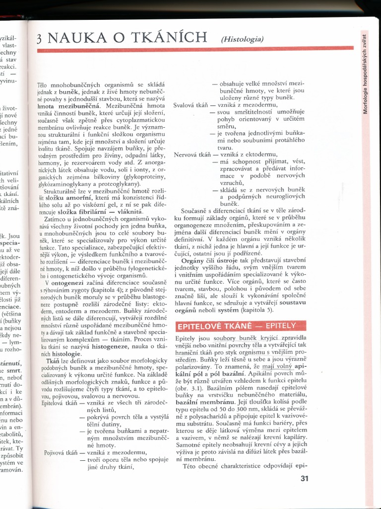 Morfologie Hospodarskych Zvirat Marvan | PDF