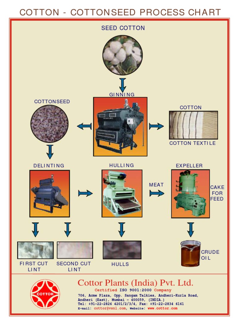 Cottonseed Processing Overview | PDF