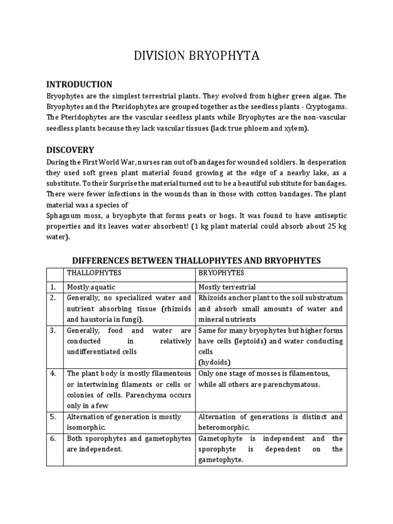 DIVISION BRYOPHYTA | PDF | Plants | Moss