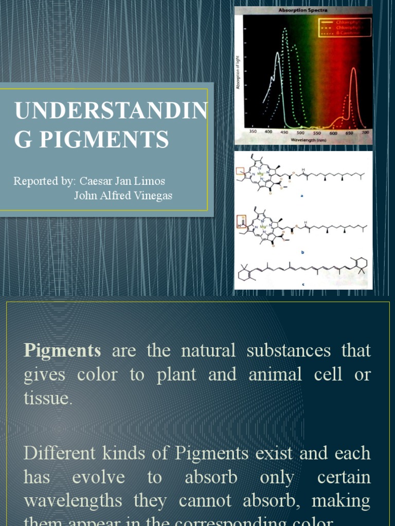 Understanding Pigments Powerpoint | PDF | Science & Mathematics