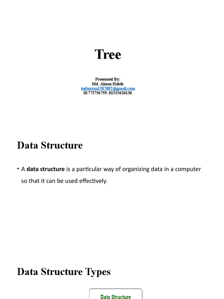 Tree Final | PDF