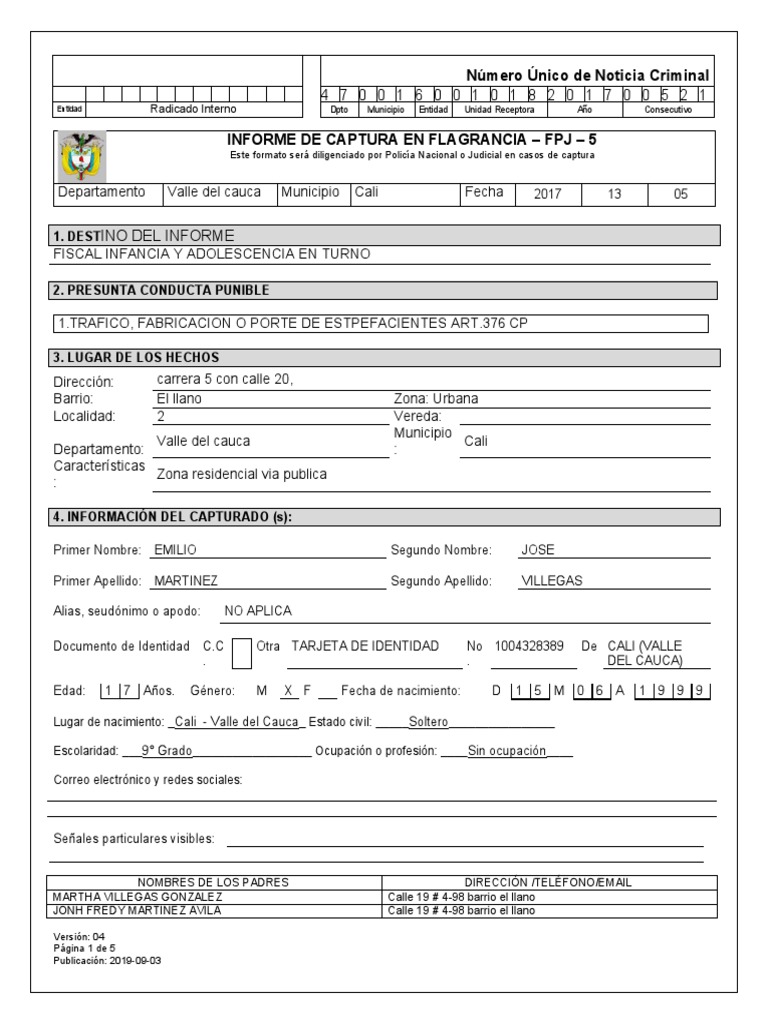 FPJ 5 Captura en Flagrancia V 04 | PDF