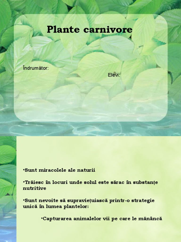Plante Carnivore - PPT | PDF
