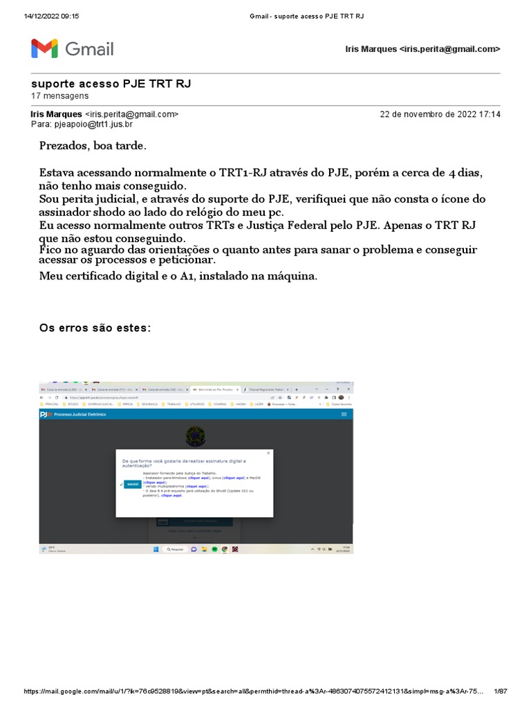 Gmail - Suporte Acesso PJE TRT RJ | PDF