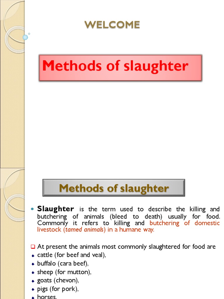 Methods of Slaughter | PDF | Slaughterhouse | Animal Slaughter