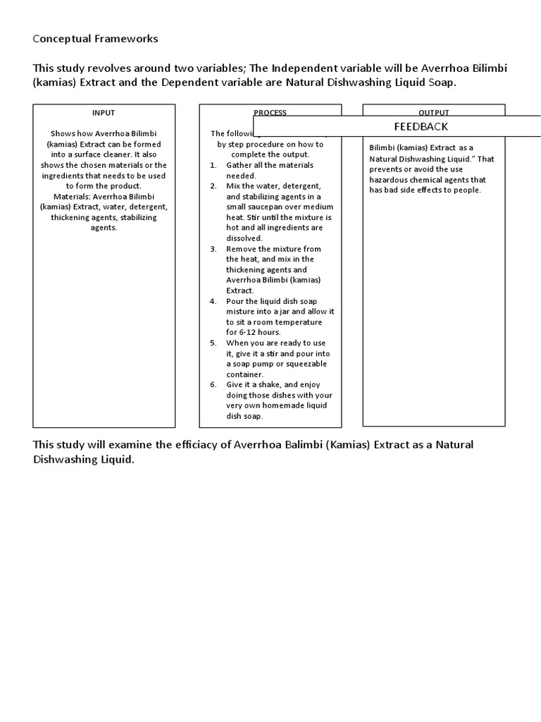 Conceptual Frameworks | PDF