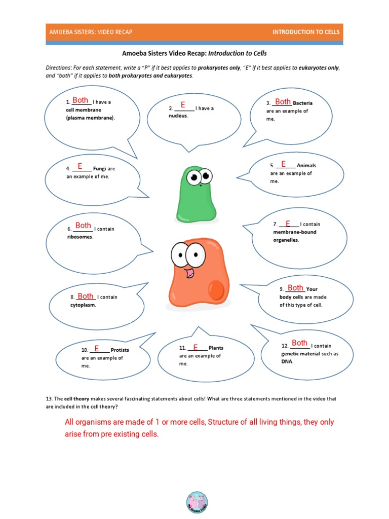 Kami Export - Mya Bennett - Intro To Cells Recap by Amoeba Sisters ...