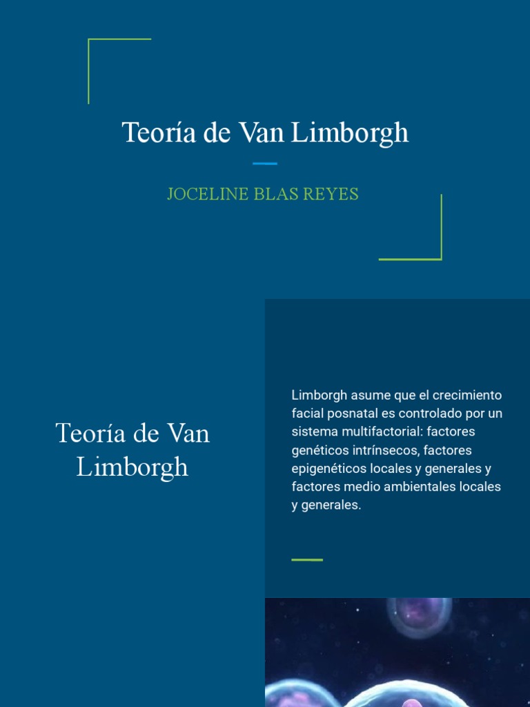 Teoría de Van Limborgh | PDF