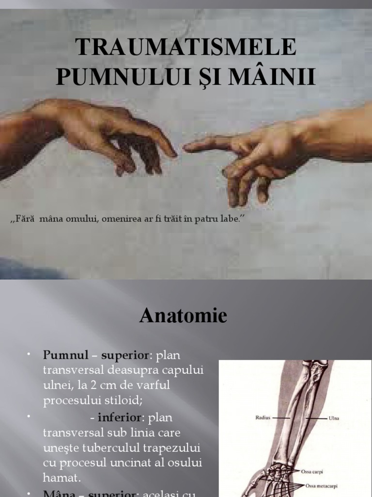 Curs 4 Traumatismele Pumnului Si Mainii | PDF