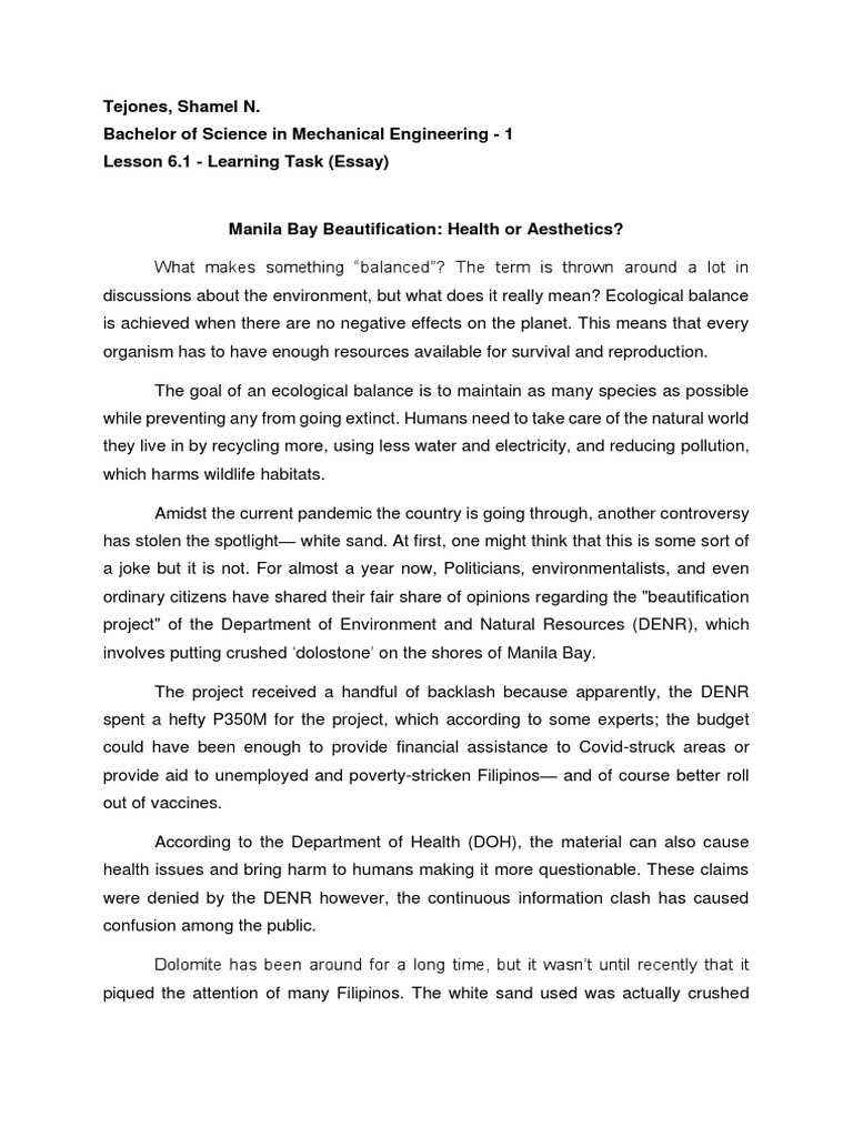 Tejones Essay | PDF | Beach | Concrete