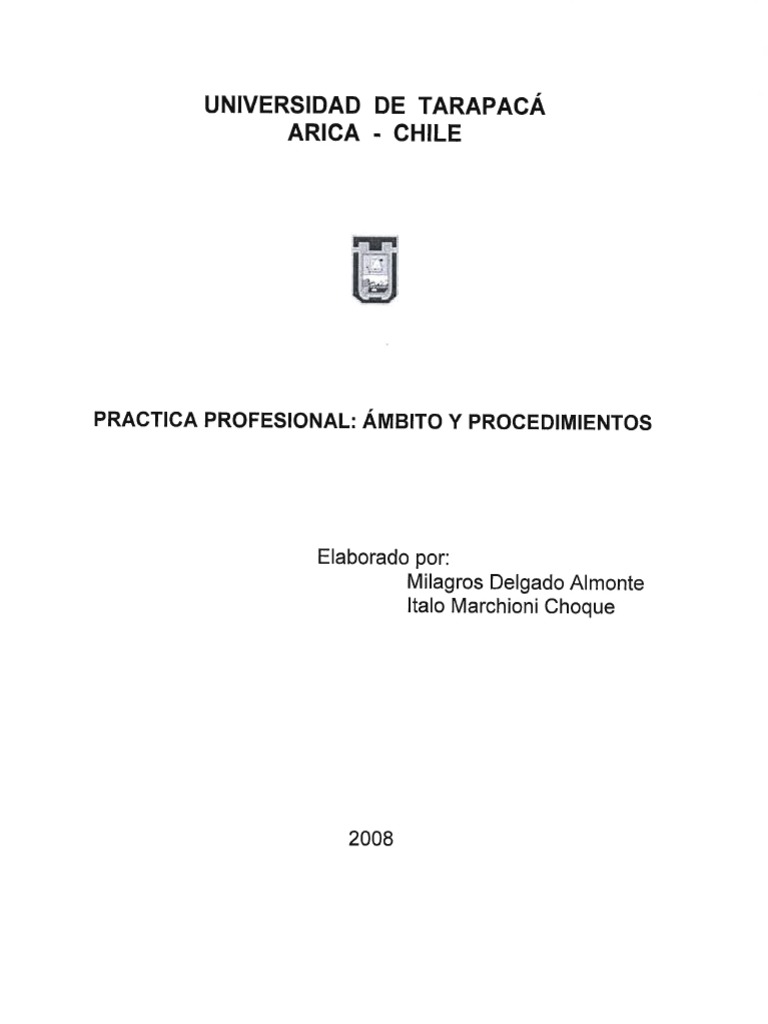 Formato Informe De Practica Profesional Pdf