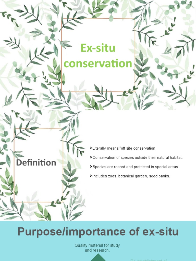 Ex-Situ Conservation | PDF | Zoo | Conservation Biology