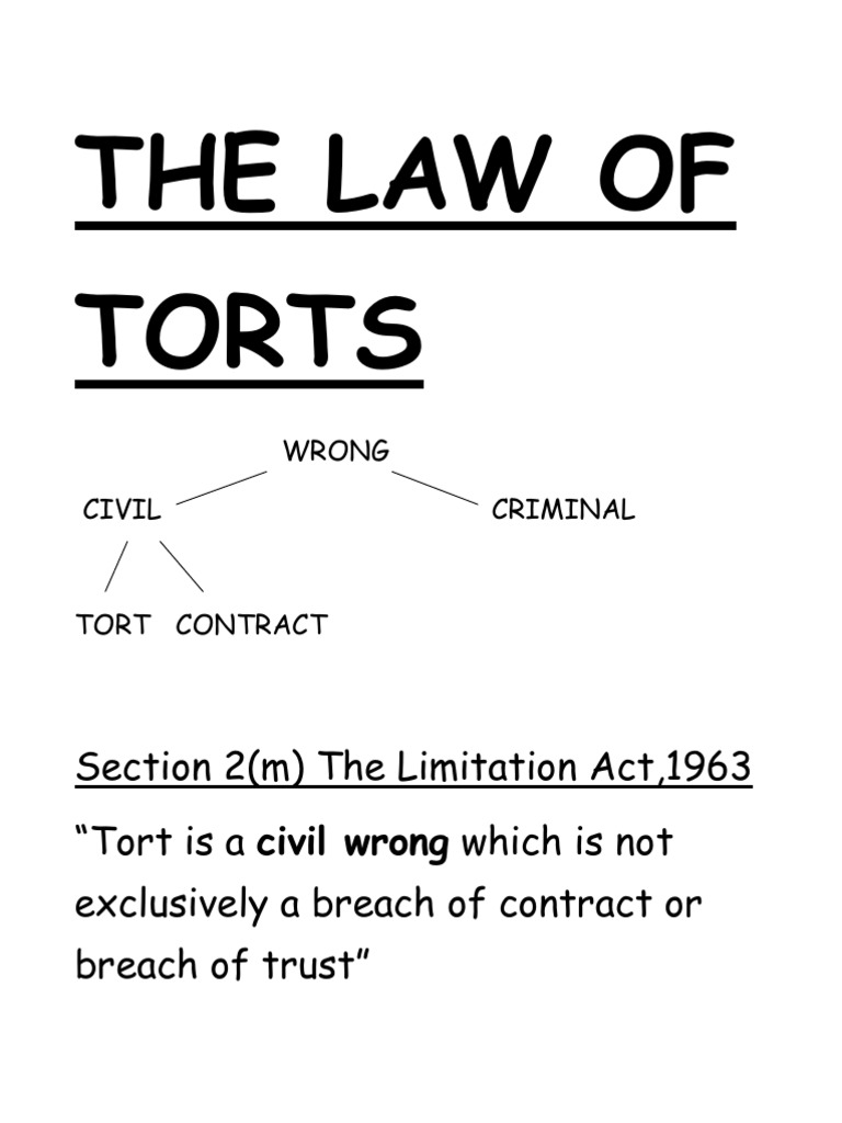 Understanding Tort Law Basics | PDF