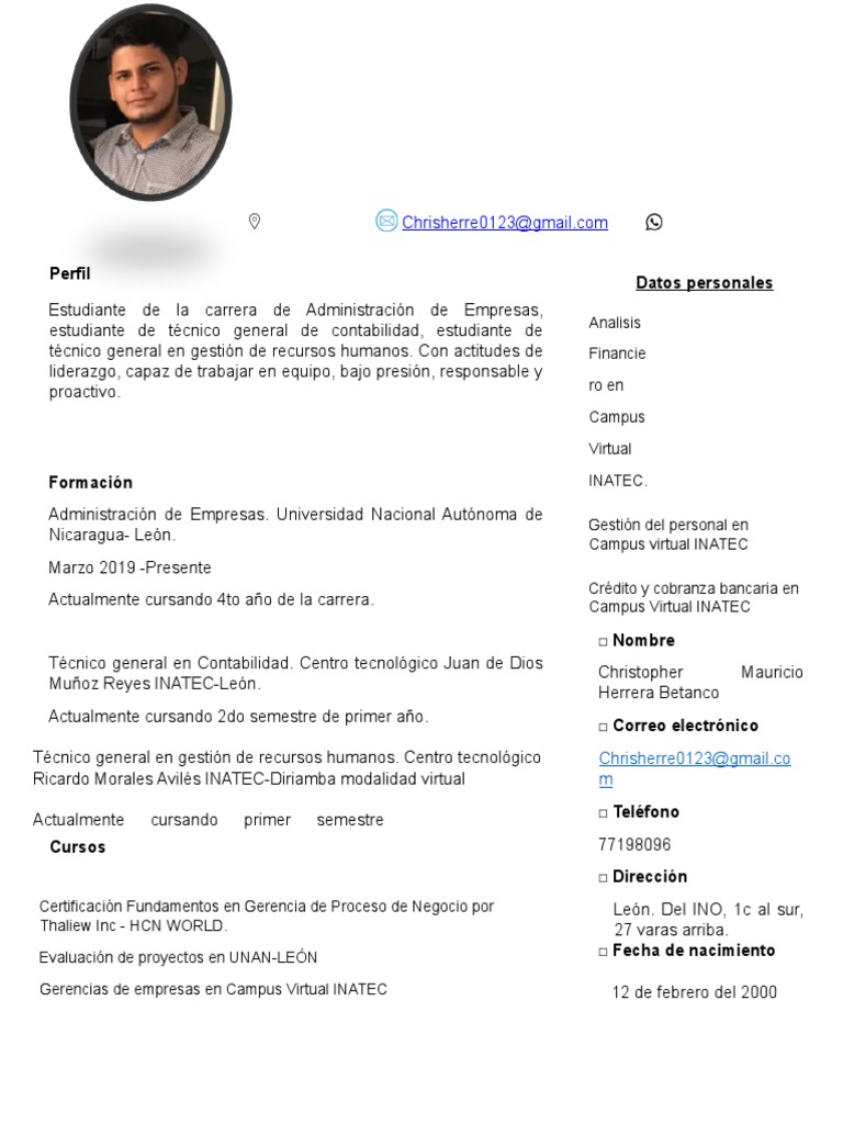 Curriculum - Vitae Chris | PDF | Economias | Business