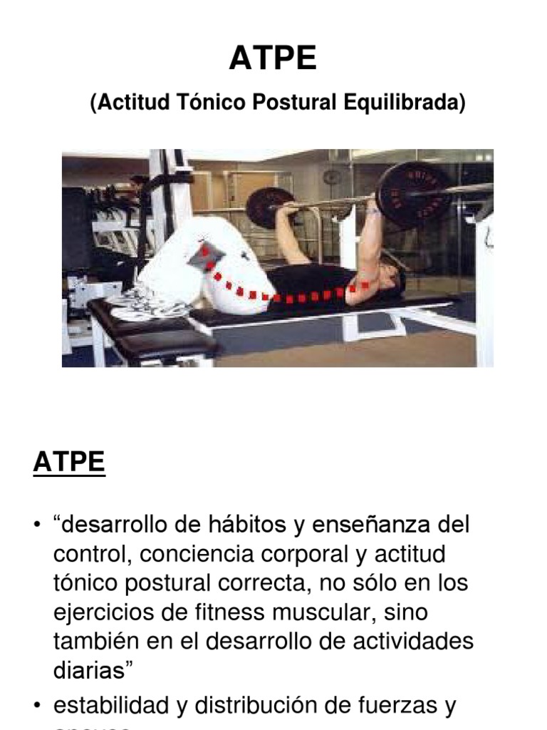 Actitud Tonico Postural Equilibrada | PDF | Anatomía humana | Sistema musculoesquelético