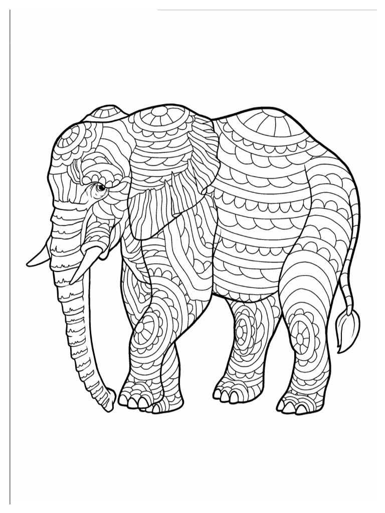 Animal Patterns FREE BOOK | PDF