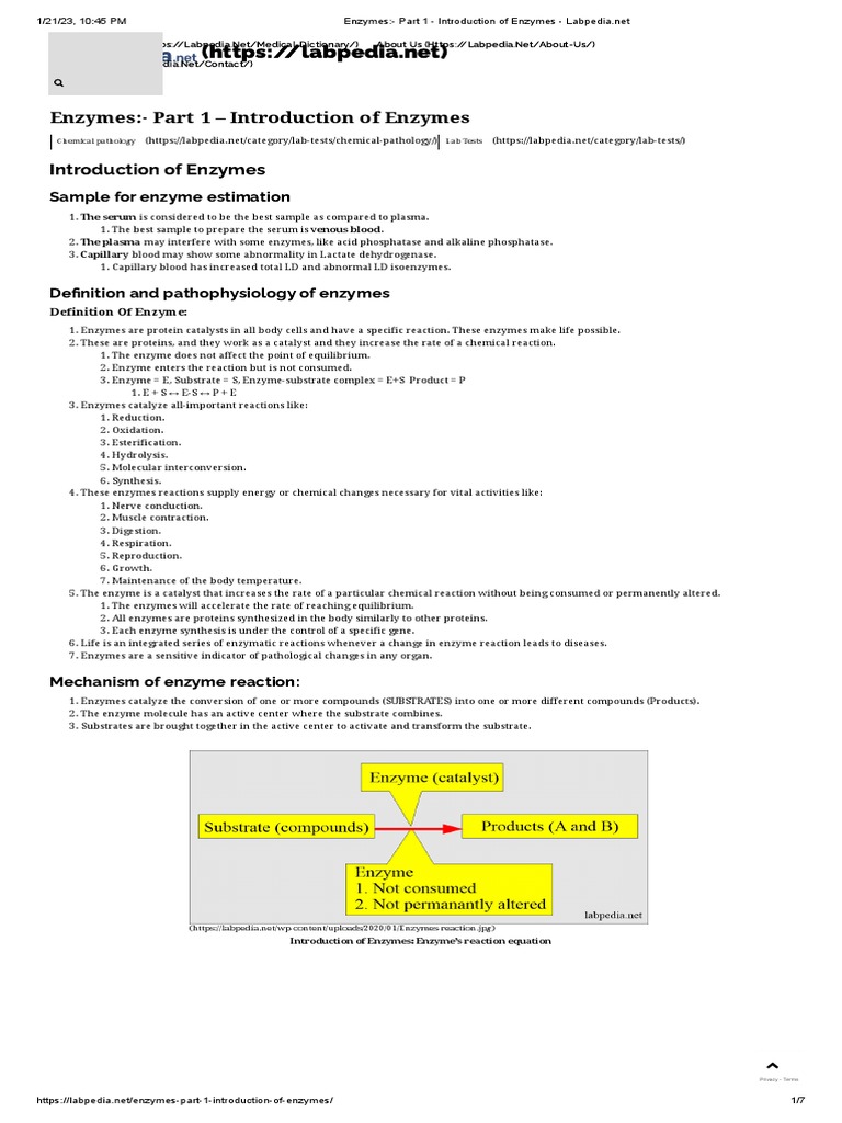 Enzymes - Part 1 - Introduction of Enzymes | PDF | Science & Mathematics