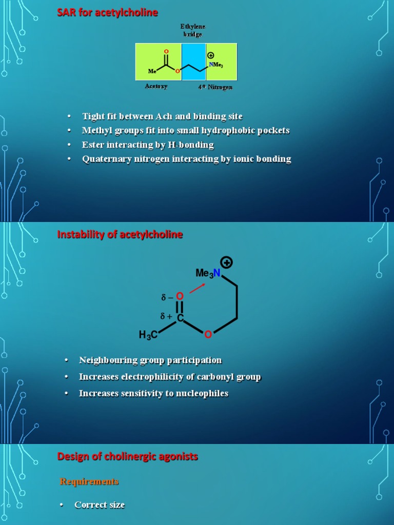 Design of Acetylcholine Analogues | PDF | Acetylcholine | Organic Chemistry