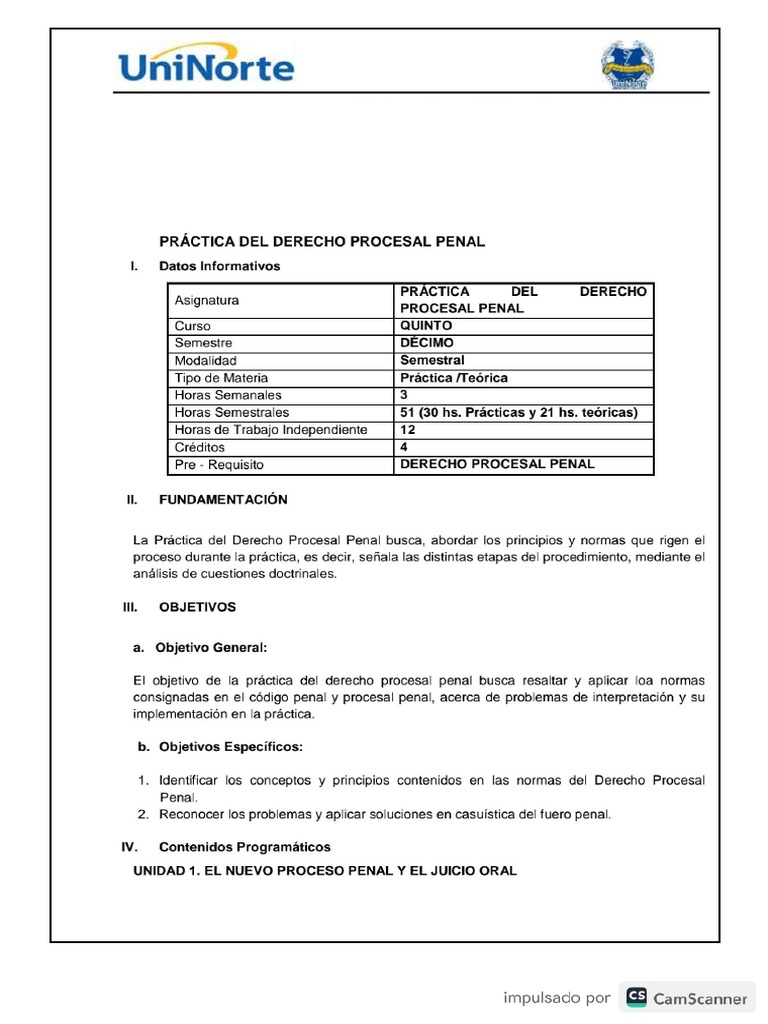 Programa Práctica Penal | PDF