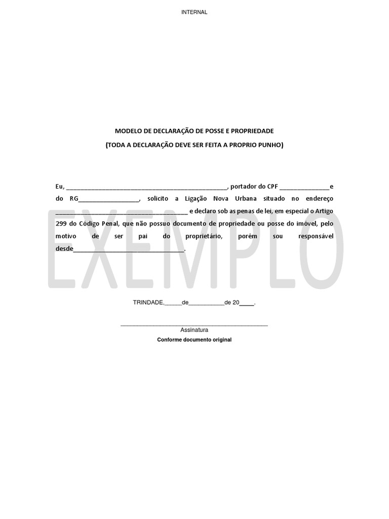 Modelo de Declaração de Posse e Propriedade | PDF