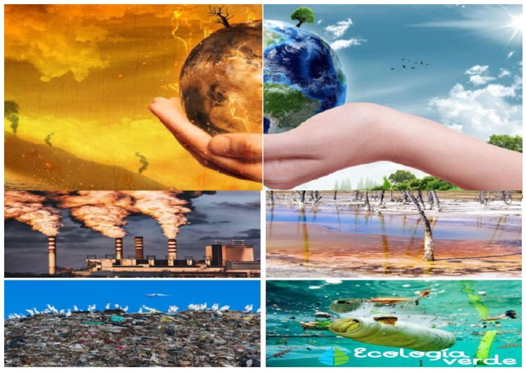 Conciencia Ambiental | PDF