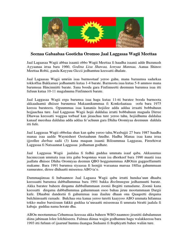 Seenaa Jaal Laggasaa Wagii Meettaa | PDF