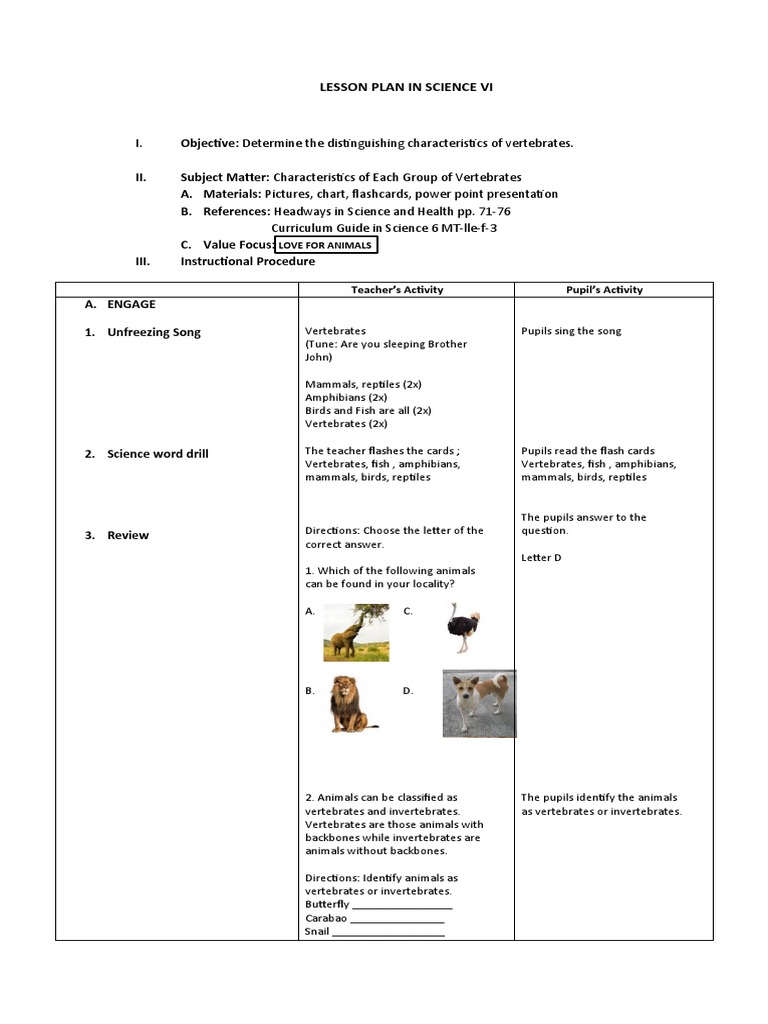 Vertebrate Characteristics Lesson Plan | PDF | Vertebrates | Fish