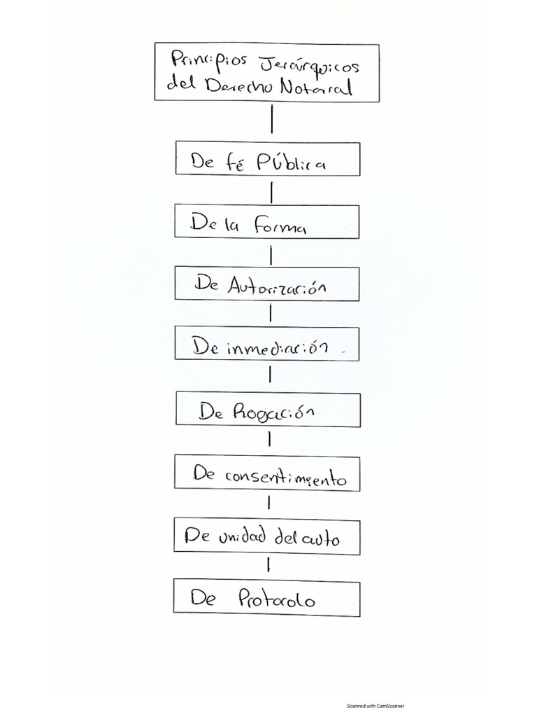 Diagrama de Principios Jerarquicos Del Derecho Notarial | PDF Diagrama de Principios Jerarquicos Del Derecho Notarial | PDF
