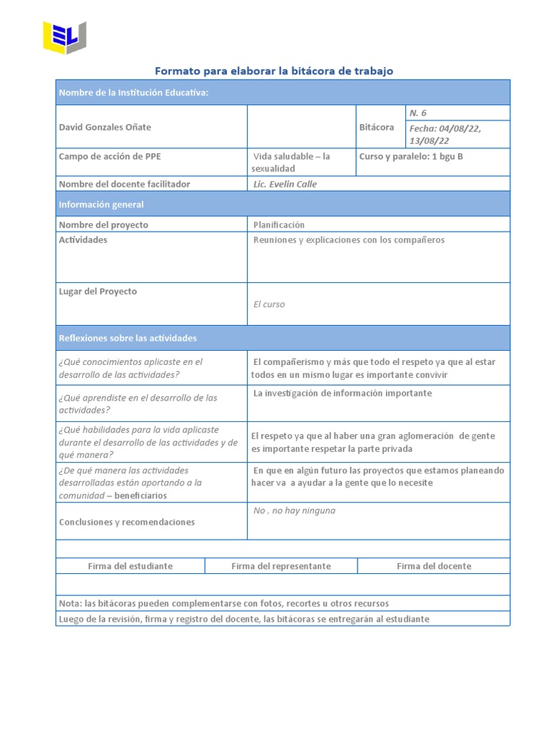 Formato de bitácora PPE | PDF