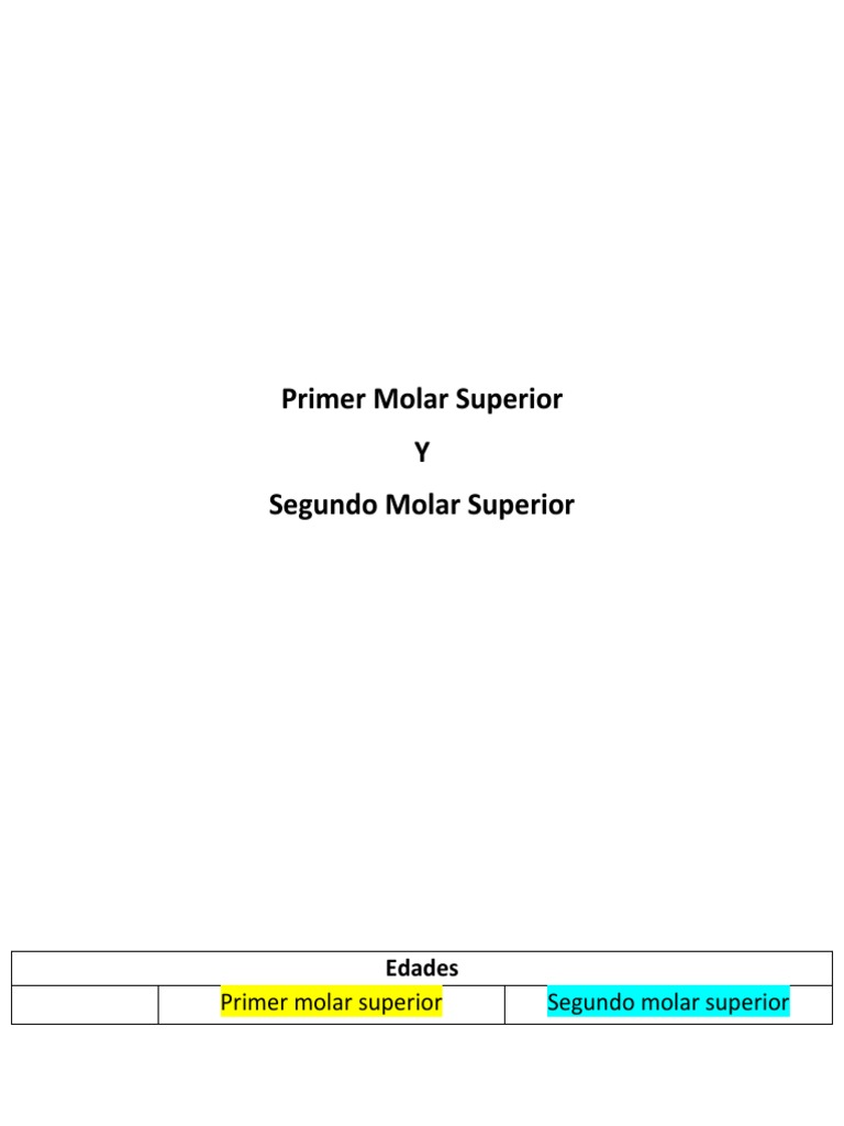 Primer y Segundo Molar Superior | PDF | Anatomia dental | Diente