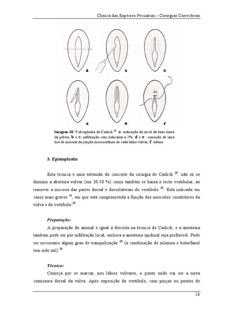 Vulvoplastia e Episioplastia em Animais | PDF | Ciências e Matemática