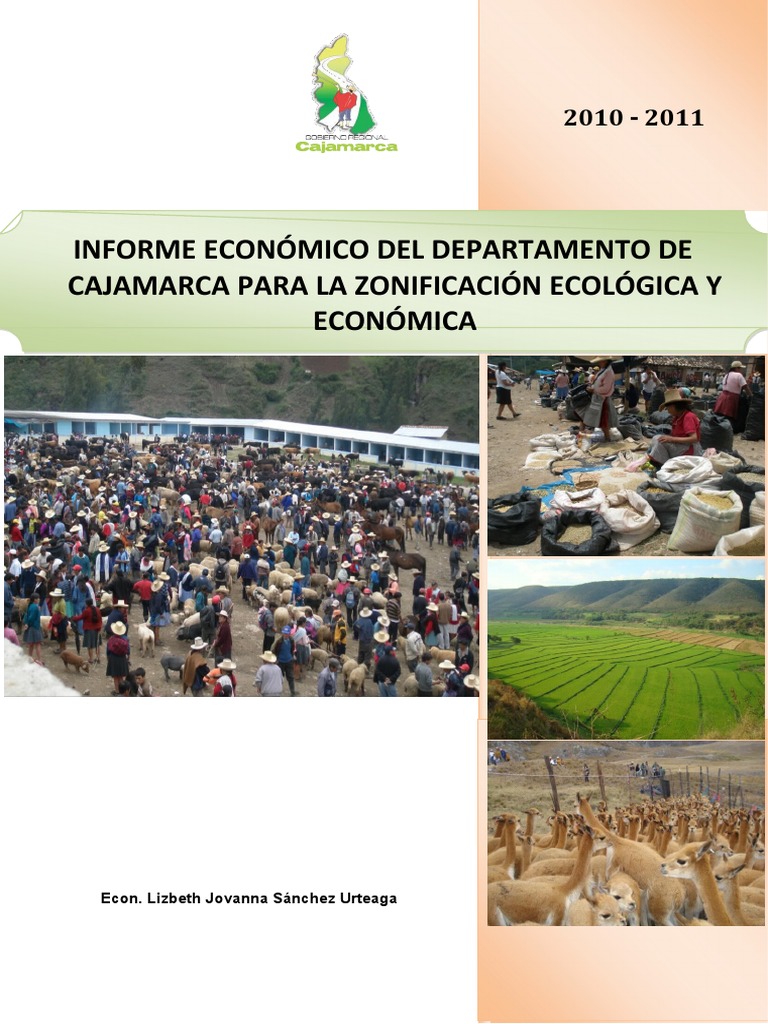 Informe Cajamarca | PDF | Capital (economía) | Agricultura
