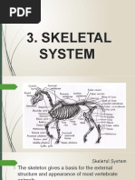 Natural & Man-Made Frame/shell Structures | PDF | Skeleton