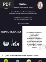 Organizador Visual Hidroterapia | PDF | Terapia física | Agua