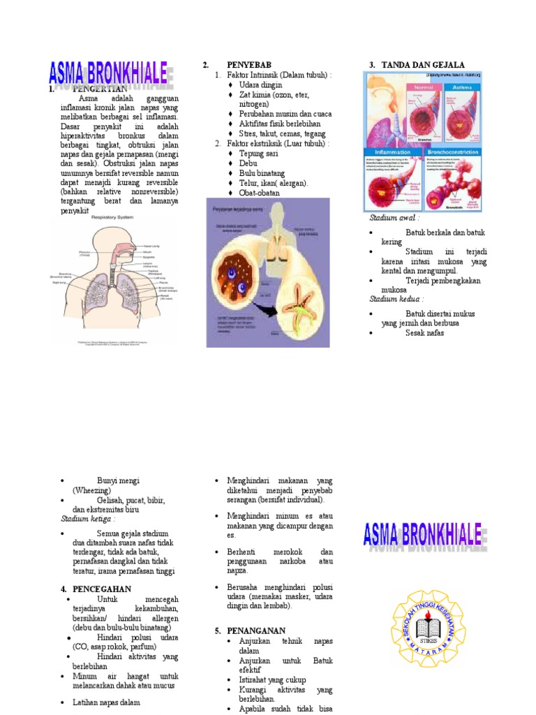 Leaflet Asma Bronchiale - Pendkes KMB Kelompok 1 | PDF