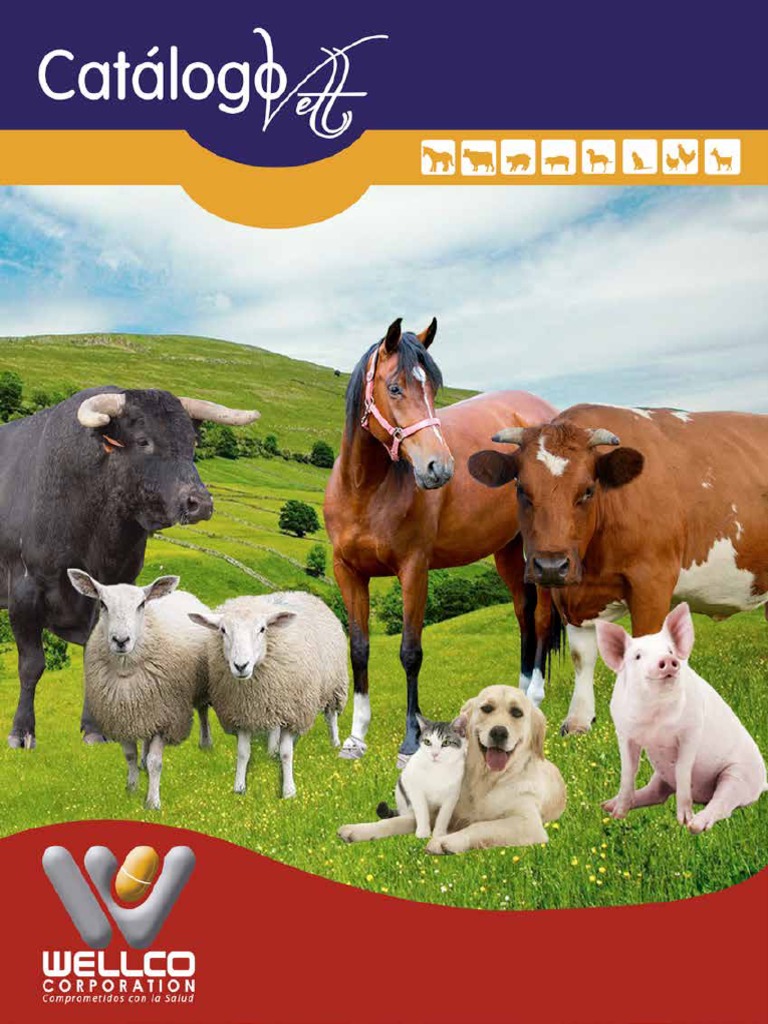 Cataloga Actualizado Wellco | PDF | Oveja | Vacas
