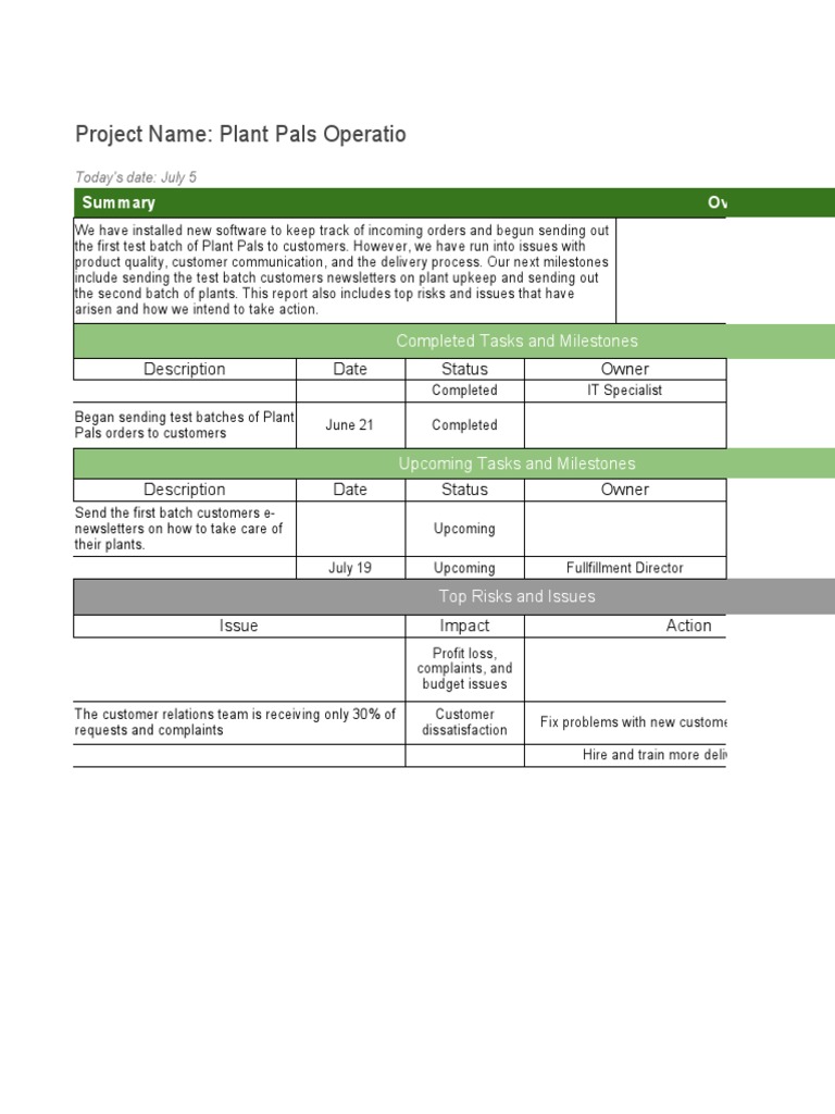 Activity Template - Project Status Report | PDF | Business | Economies