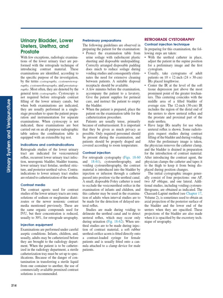 3 Meril | PDF | Urinary Bladder | Urology