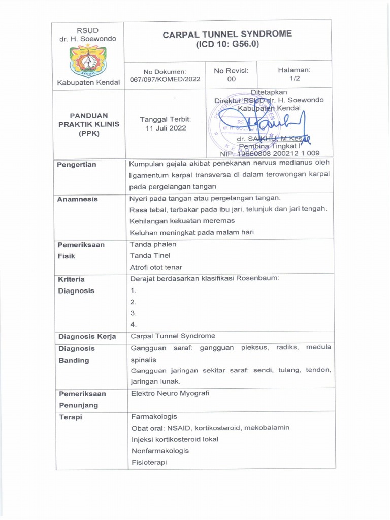 Carpal Tunnel Syndrome | PDF