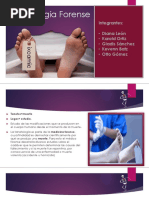 Corificación: Conservación Cadavérica | PDF | Descomposición | Química
