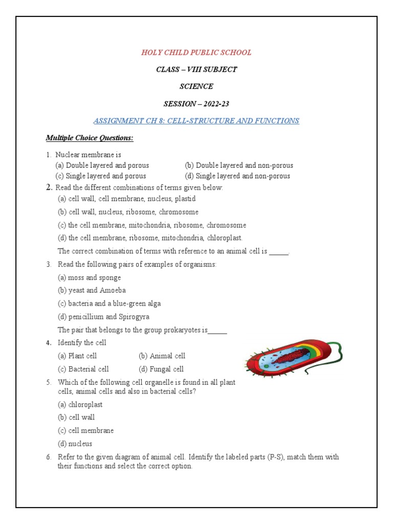 Chapter 8-Cell Structure and Functions | PDF | Cell (Biology) | Organelle