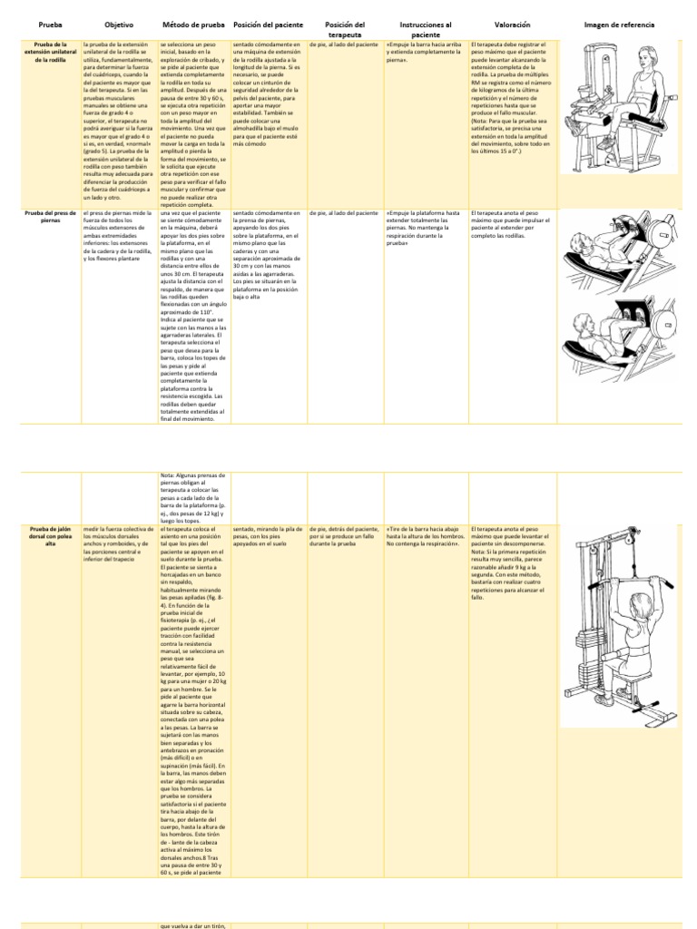 Alternativas Pruebas Manuales / Examenes y Mediciones Ii | PDF | Hombro | Codo