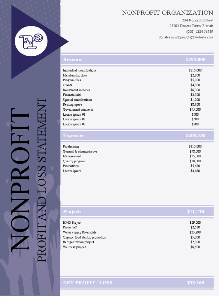 Nonprofit Profit and Loss Statement | PDF | Revenue | Income Statement