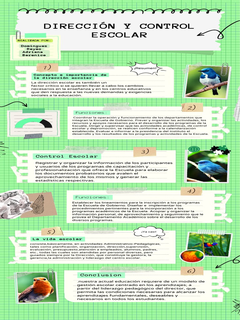Dirección y Control Escolar Efectivo | PDF | Aprendizaje