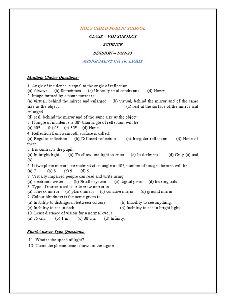 Class 8 Science: Light Assignment | PDF | Mirror | Prism
